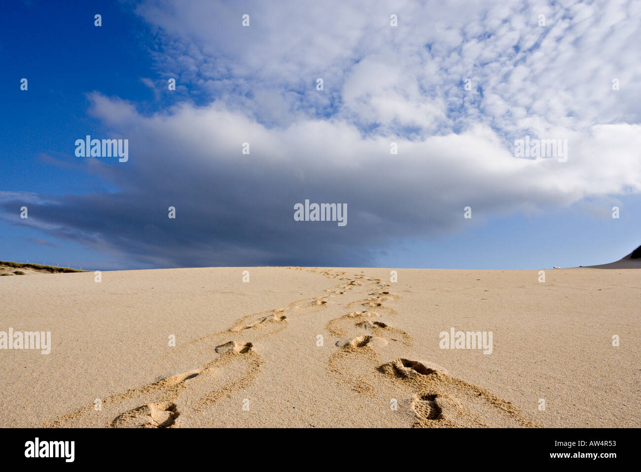 Sets of footprints in sand hi-res stock photography and images - Alamy