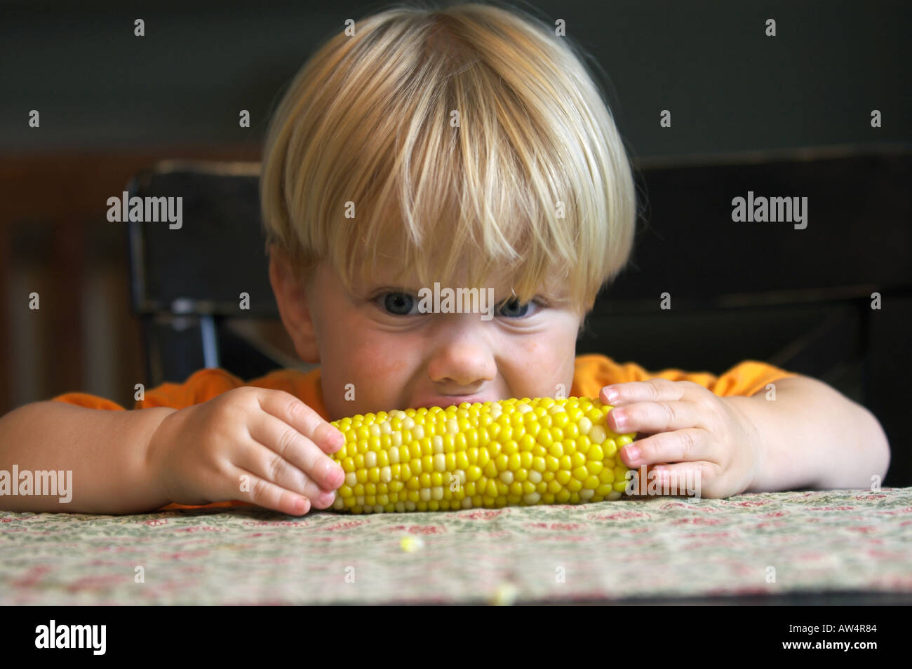 toddler eating corn on the cob Stock Photo - Alamy