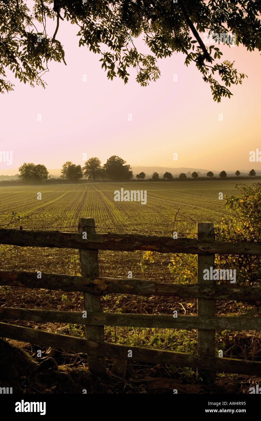 Wood stanway cotswold cotswolds hi-res stock photography and images - Alamy