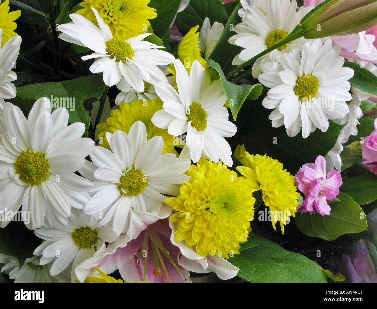 Assorted cut flowers Stock Photo - Alamy