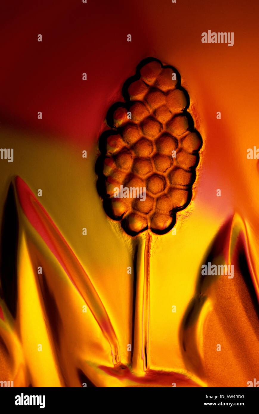 Magical flower arrangement hi-res stock photography and images - Alamy