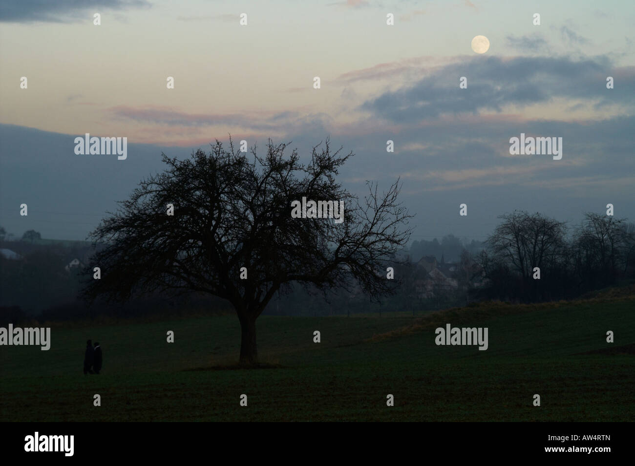 Moonlight walk hi-res stock photography and images - Alamy