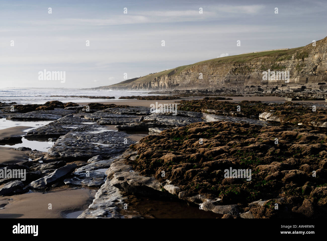 Doctor Who Doomsday Beach