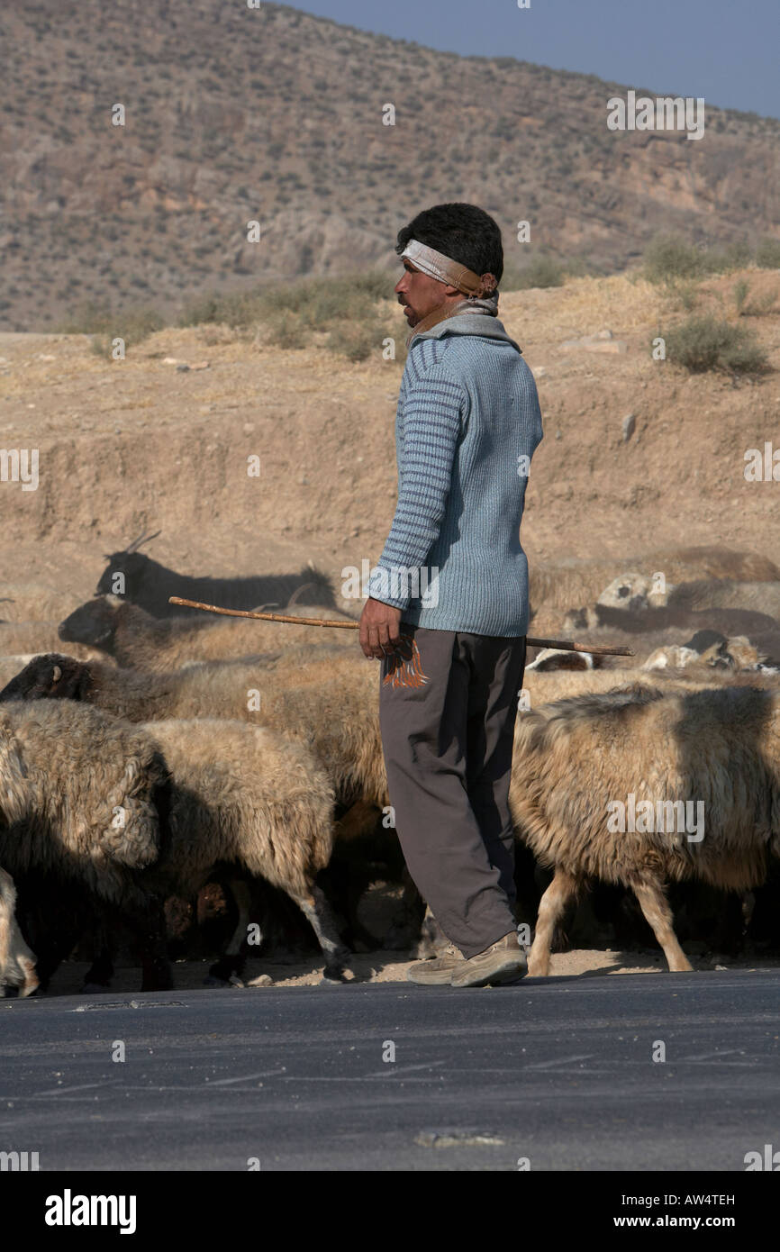 A qashqai nomad herding sheep in central Iran Stock Photo - Alamy