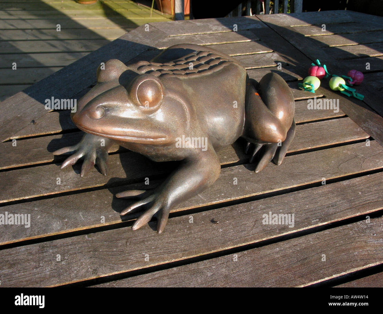 Big frog on the table, Brittany, France, Bretagne Stock Photo - Alamy