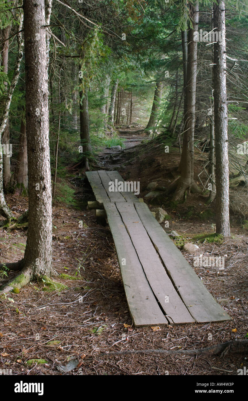 New england eastern deciduous forest hi-res stock photography and ...