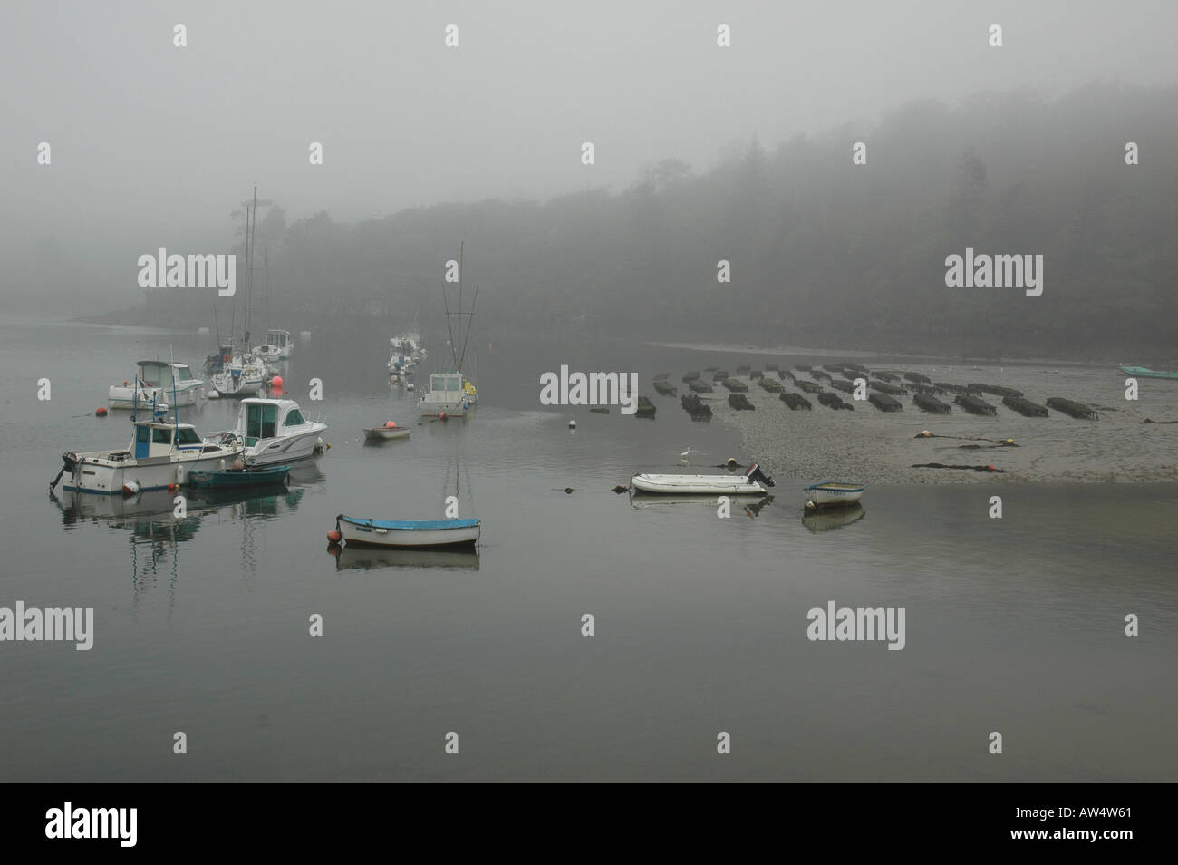 Riec sur Belon harbour on the Belon river,Finistere, Brittany,France ...