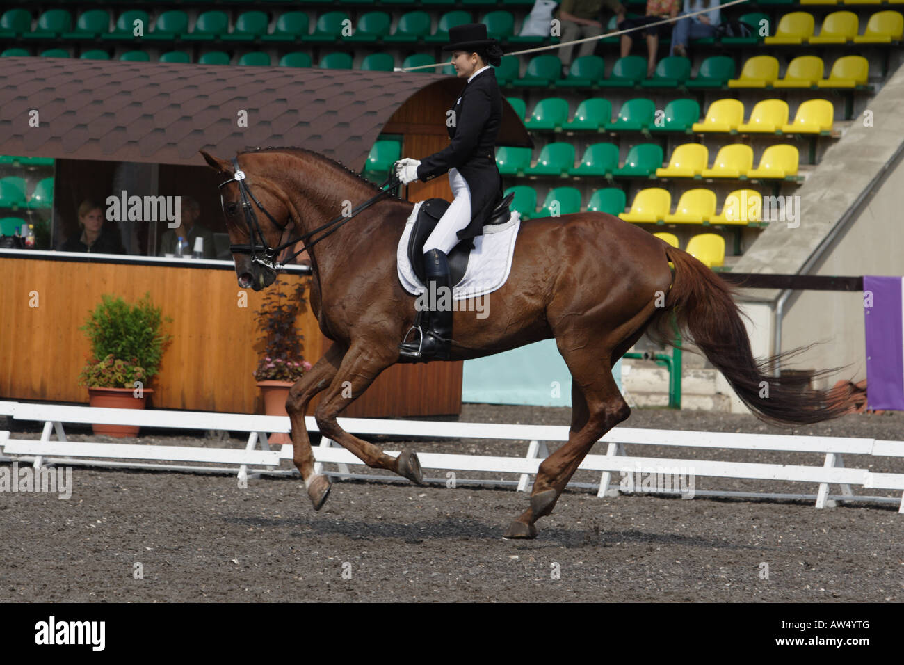 Manege gallop hi-res stock photography and images - Alamy