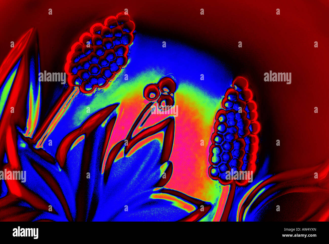 Blue light in glass magic magical imaginary imagery flowers leaf ...