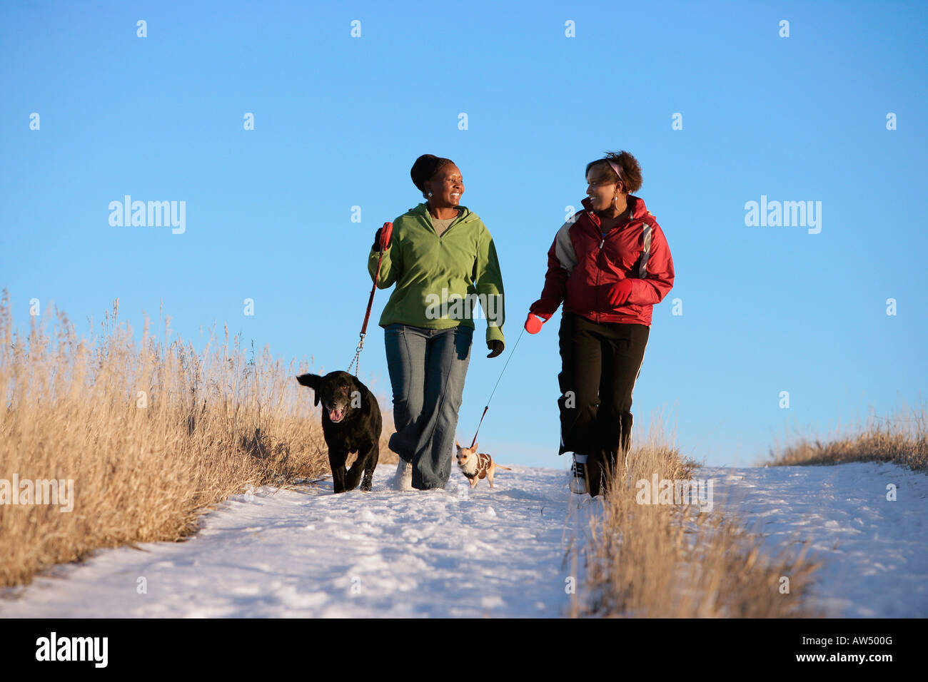 Two woman walking their dogs Stock Photo - Alamy
