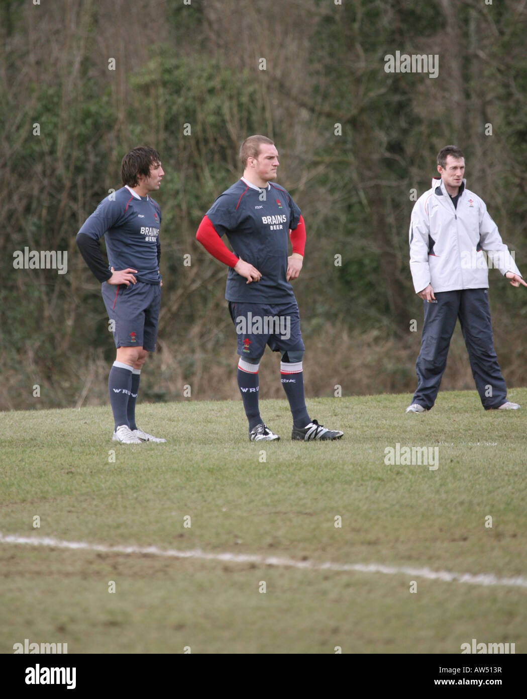 Welsh Rugby Union Training Ground Hensol Vale of Glamorgan South Wales ...