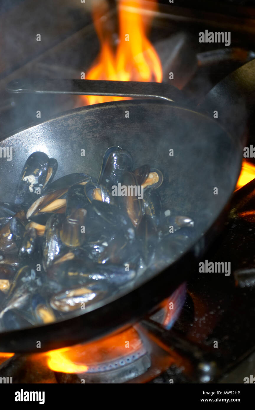 Flame shell uk hi-res stock photography and images - Alamy