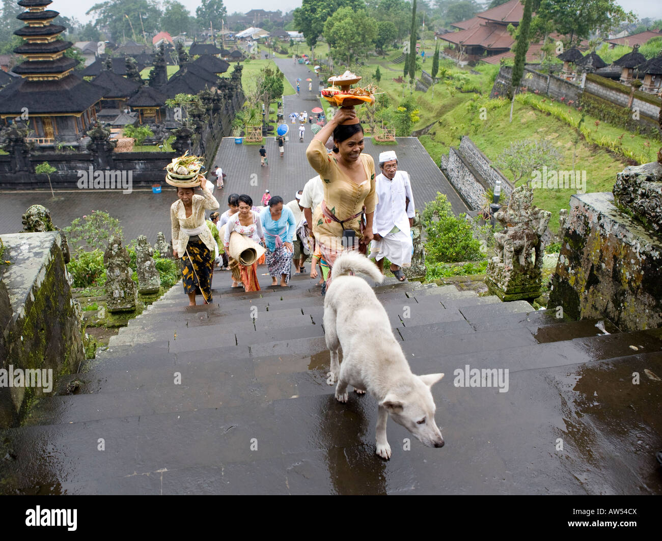A Balinese Funeral Procession Carrying Umbrellas Climbing The Steps Up ...