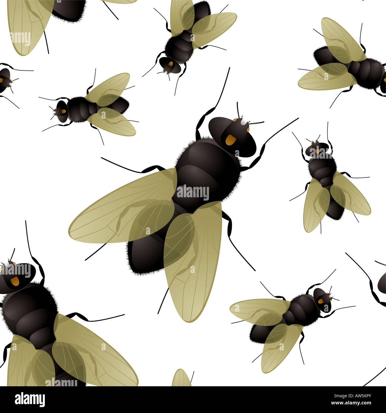 Seamless fly insect background that repeats without a join Stock Photo ...