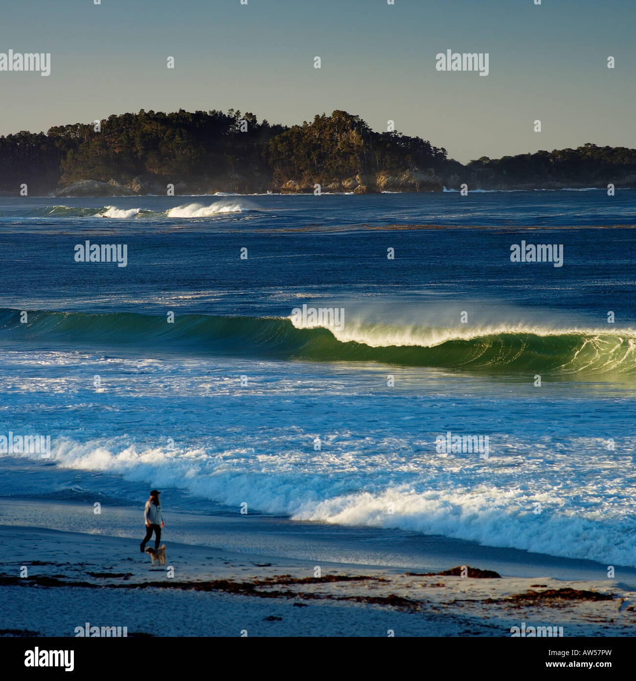 Person and dog walking on Carmel Beach in the morning Stock Photo - Alamy