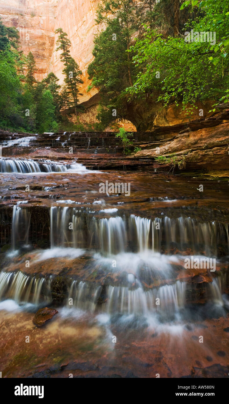 Left fork hi-res stock photography and images - Alamy