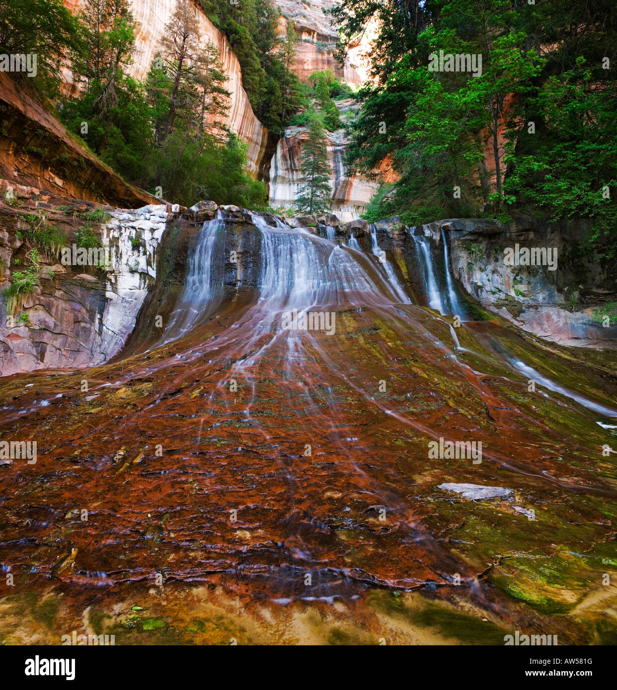 Left fork hi-res stock photography and images - Alamy