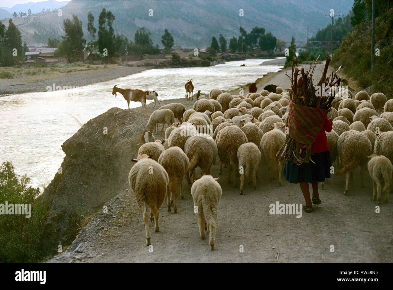 Peruvian woman working Stock Photo - Alamy