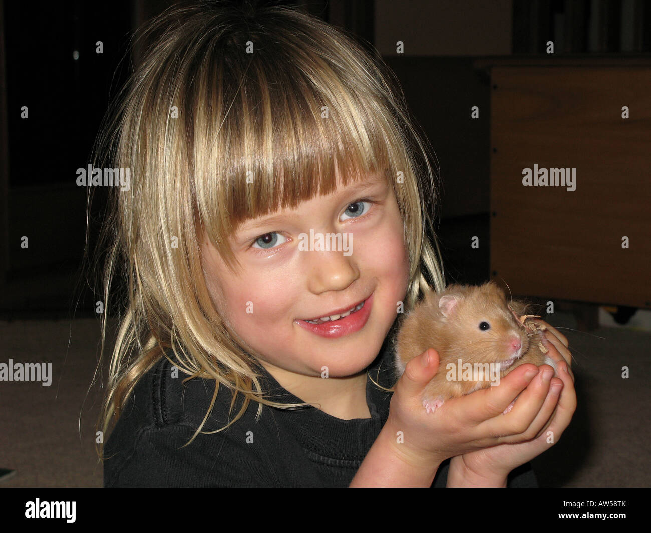 Young hamster hi-res stock photography and images - Alamy