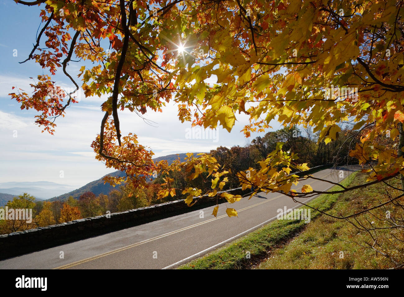 Blue Ridge Parkway in Shenandoah National Park Stock Photo - Alamy