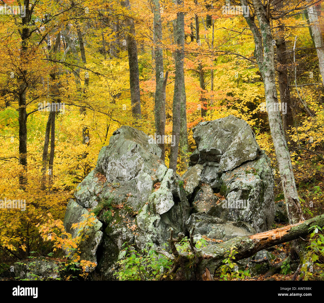 Virginia United States of America Stock Photo - Alamy