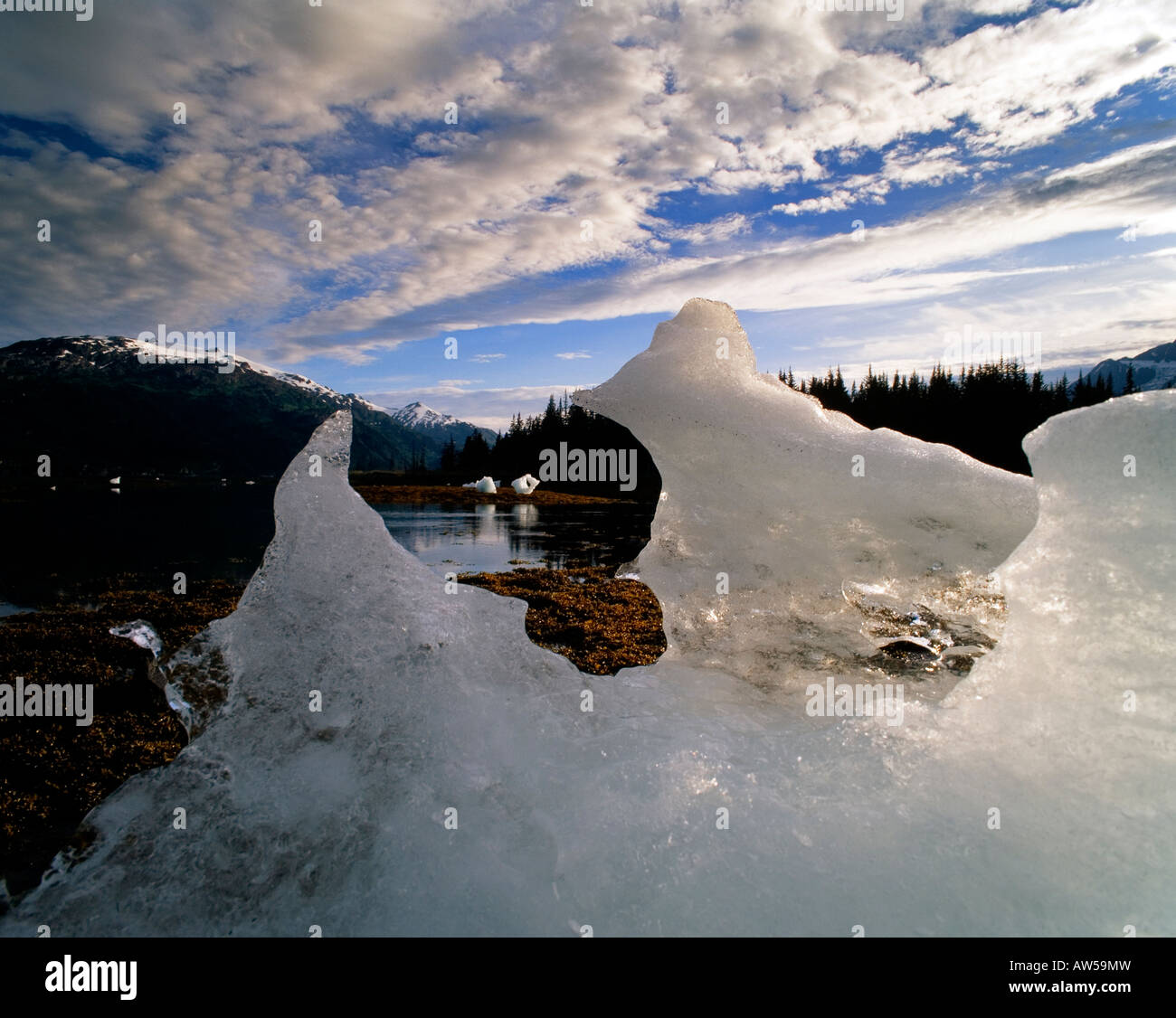 Alaska Fjord United States of America Stock Photo - Alamy