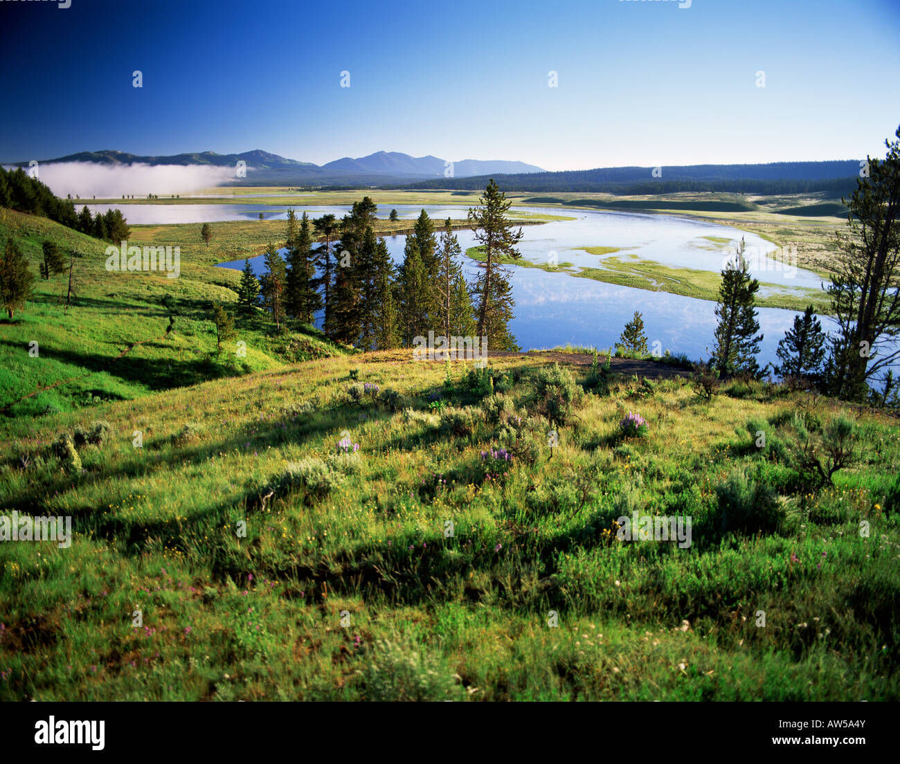 Yellowstone River Yellowstone National Park Stock Photo - Alamy