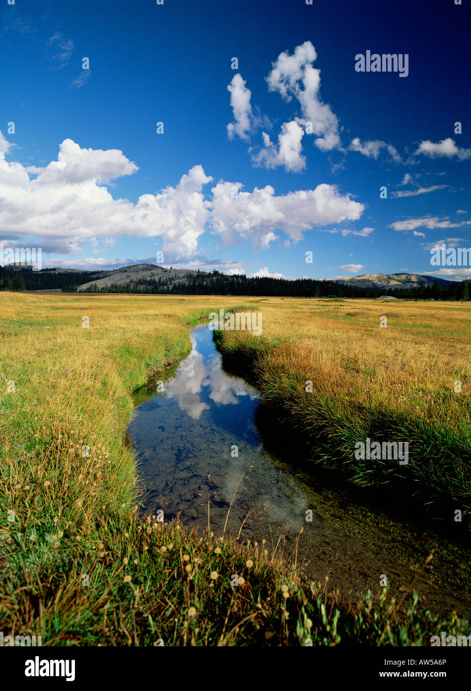 Stream through valley hi-res stock photography and images - Alamy