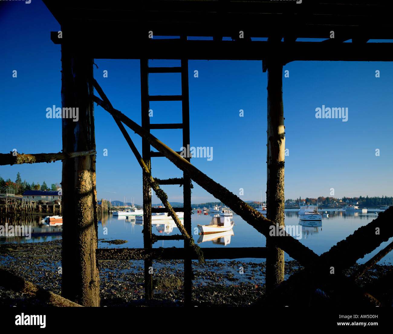 Bernard Harbor, Mount Desert Island Stock Photo - Alamy