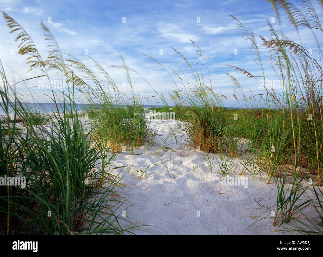 Garden key dry tortugas hi-res stock photography and images - Alamy