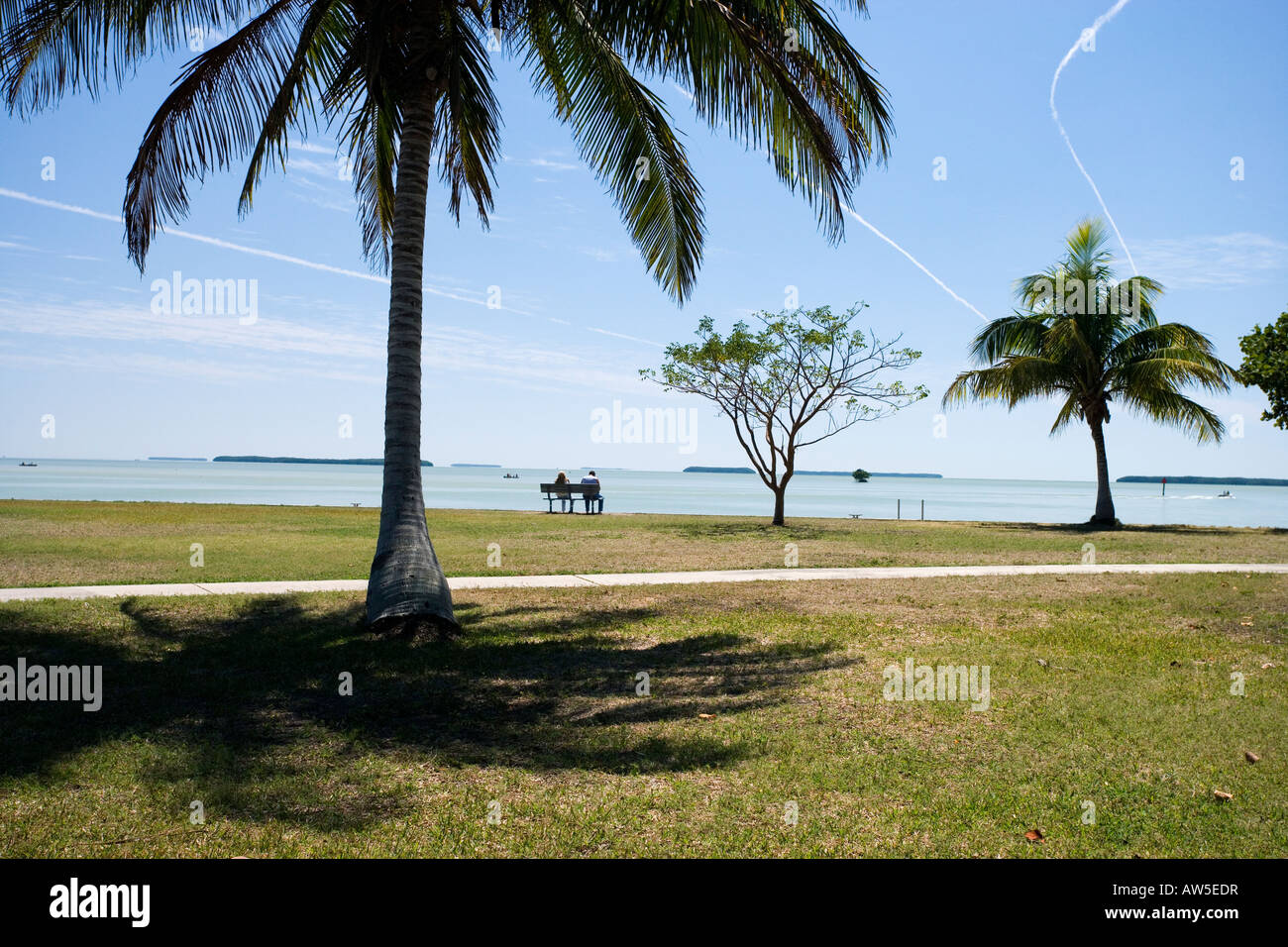 Flamingo Florida Bay Everglades National Park Stock Photo - Alamy
