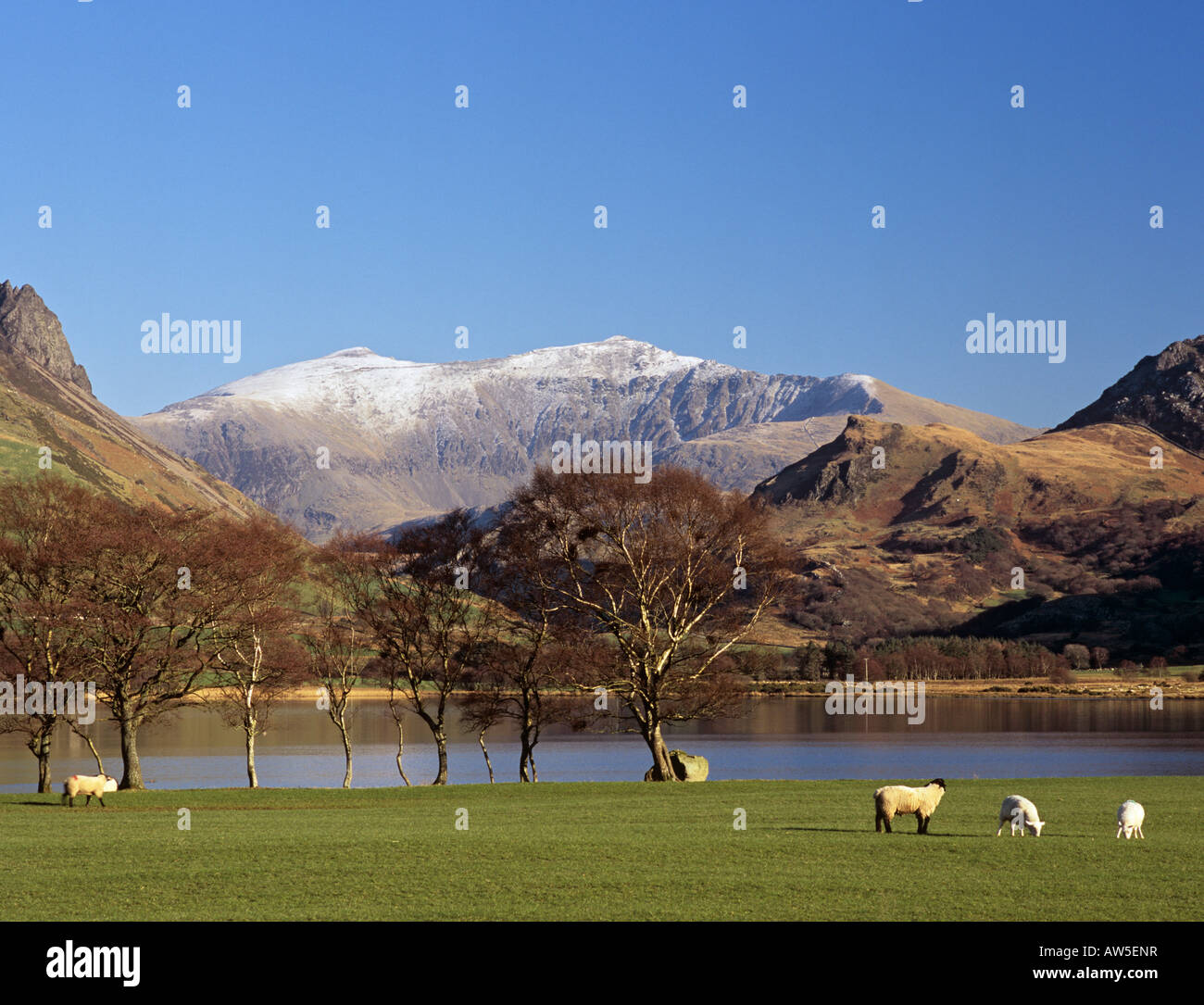 Mount Snowdon or Yr Wyddfa from west across lake Llyn Nantlle Uchaf in ...