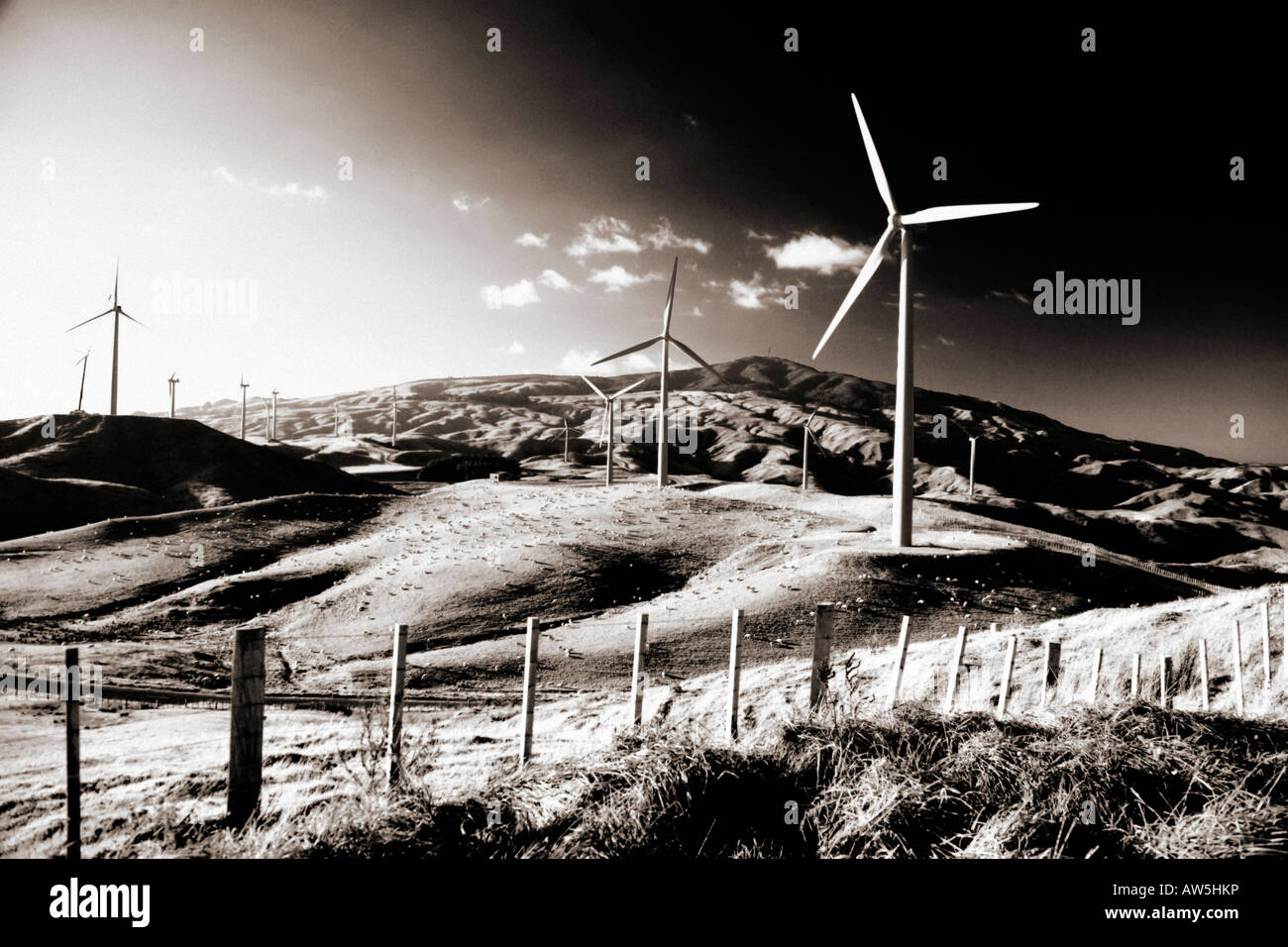 Palmerston north te apiti hi-res stock photography and images - Alamy