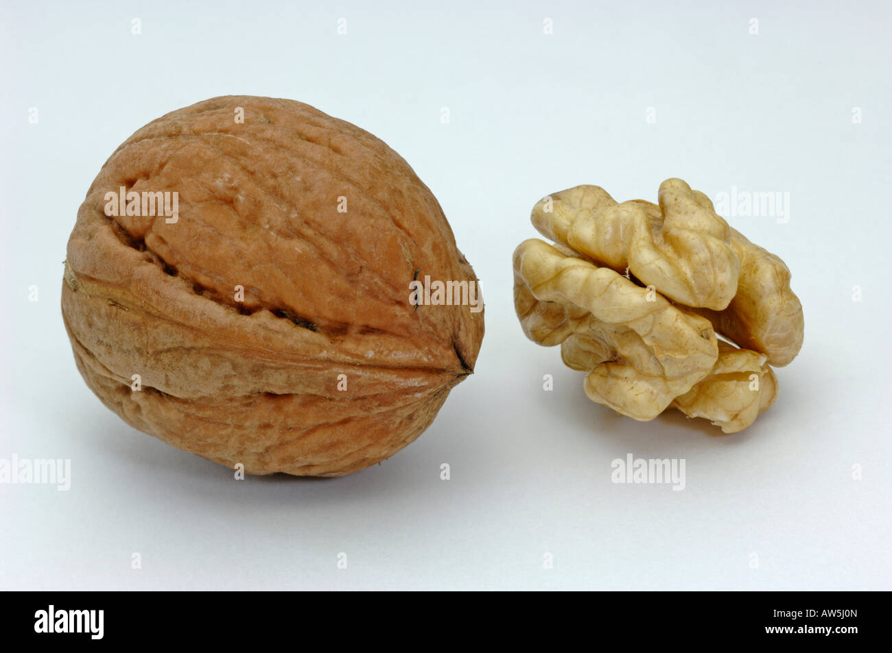 English Walnut, Persian Walnut (Juglans regia), whole nut and kernel ...