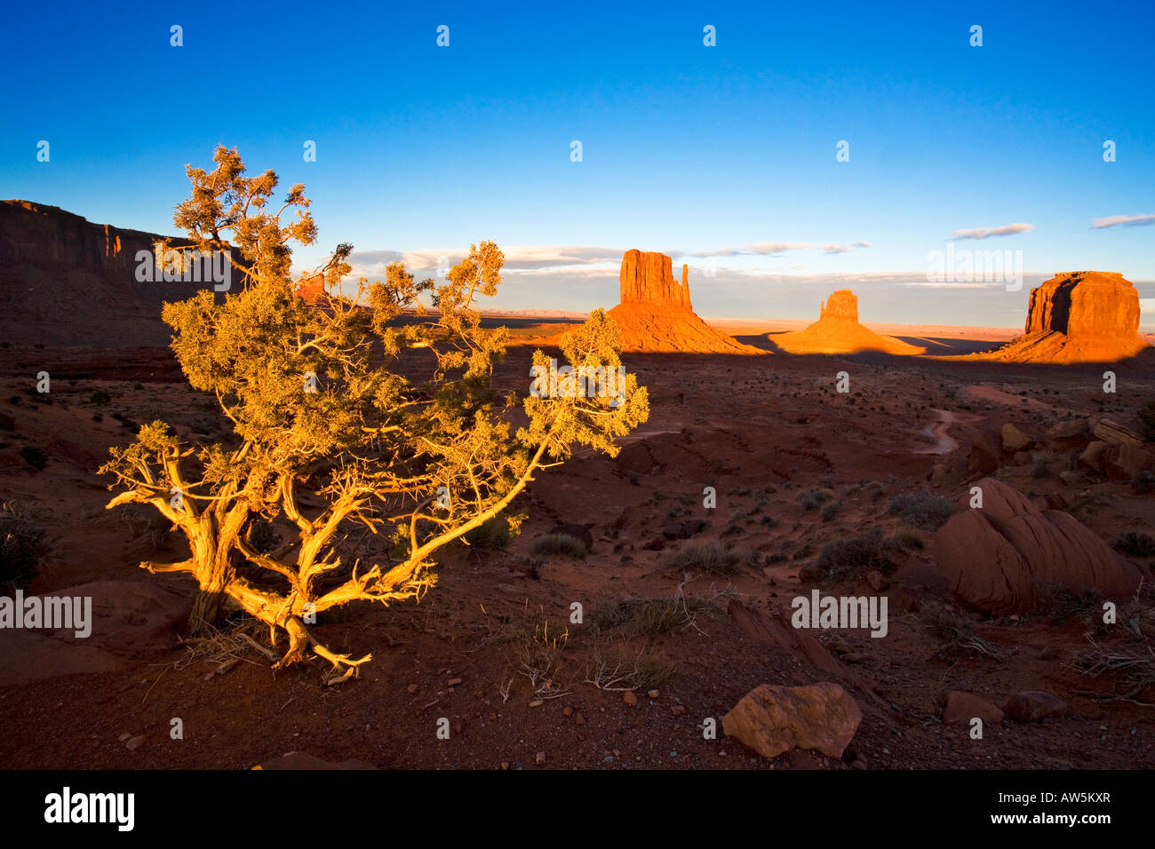 East and West Mittens Monument Valley Southern Utah USA Stock Photo - Alamy