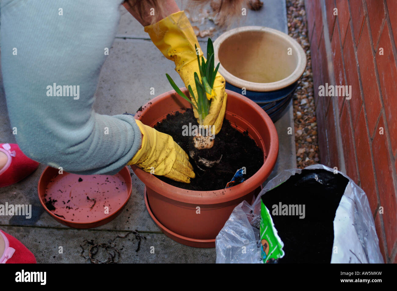Compost filled pots hi-res stock photography and images - Alamy