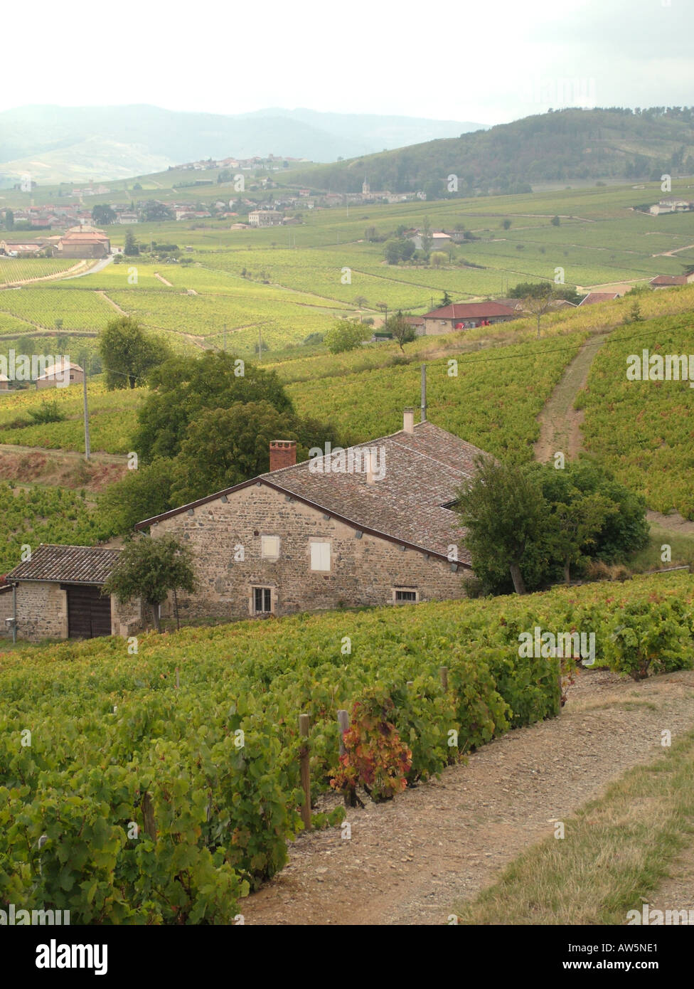 Brouilly beaujolais hi-res stock photography and images - Alamy