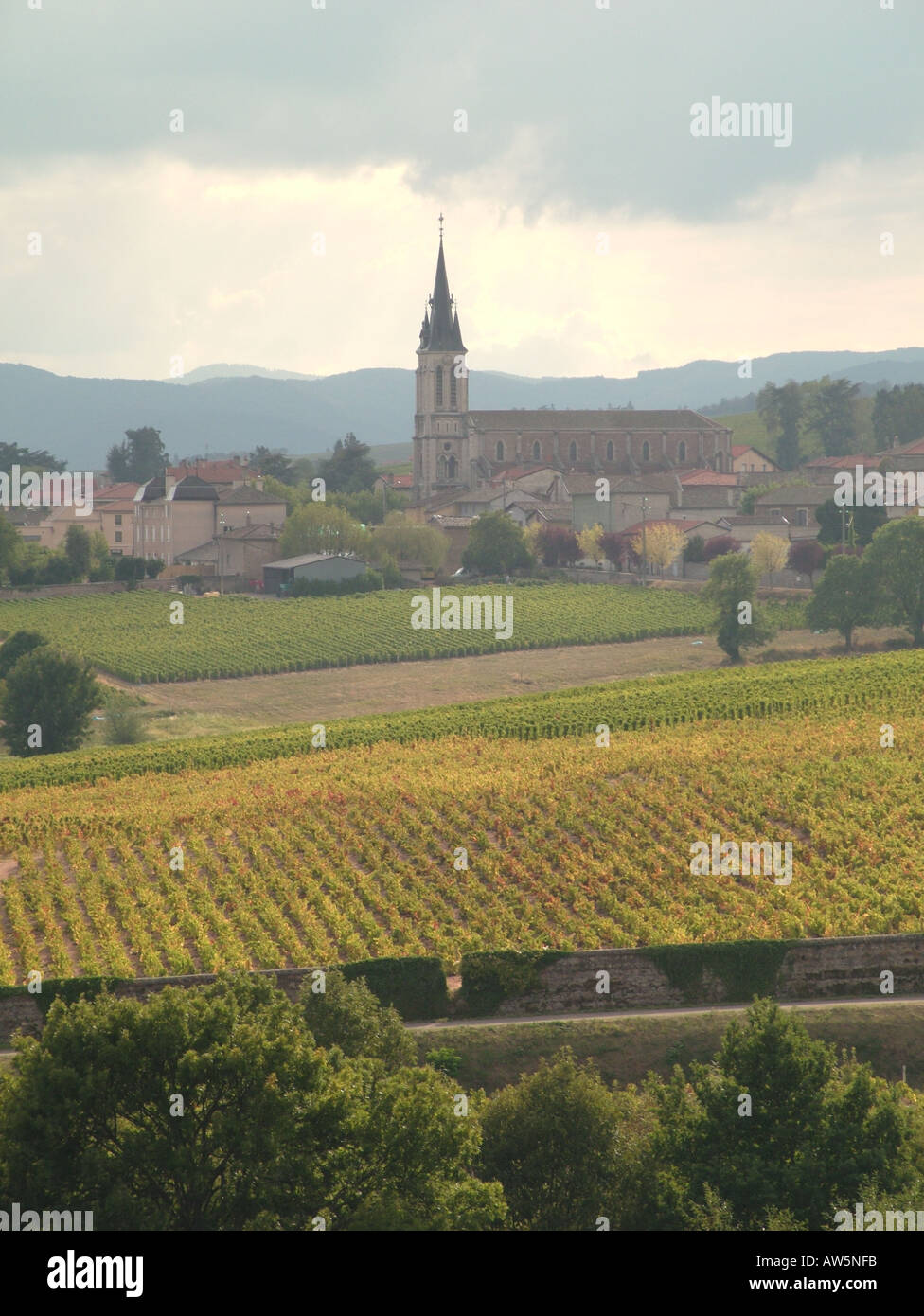 Fleurie france wine hi-res stock photography and images - Alamy