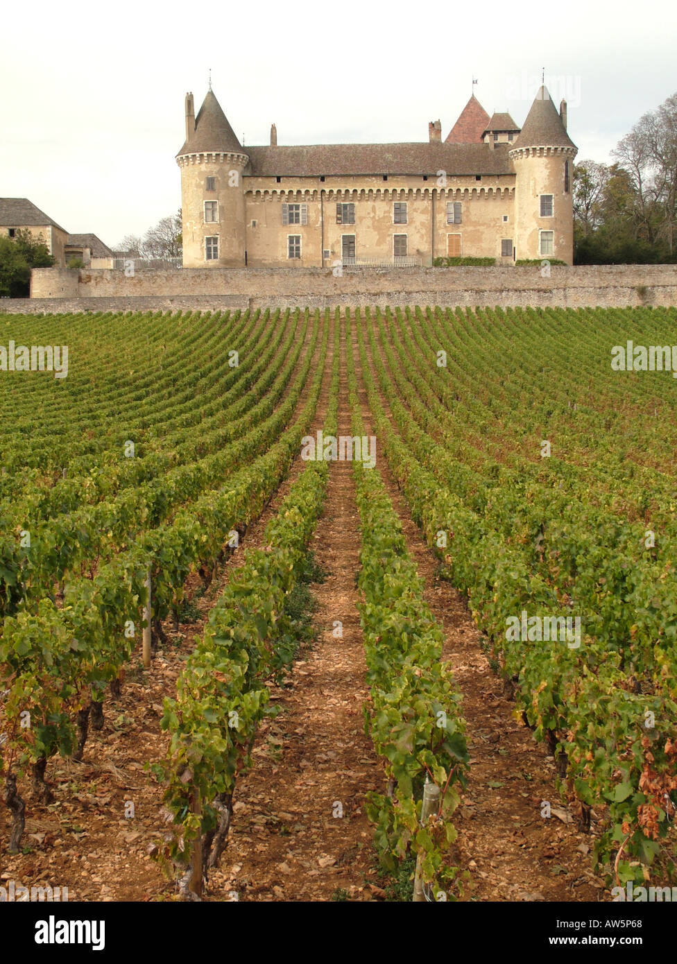 Burgundy bourgogne vineyards vertical hi-res stock photography and ...