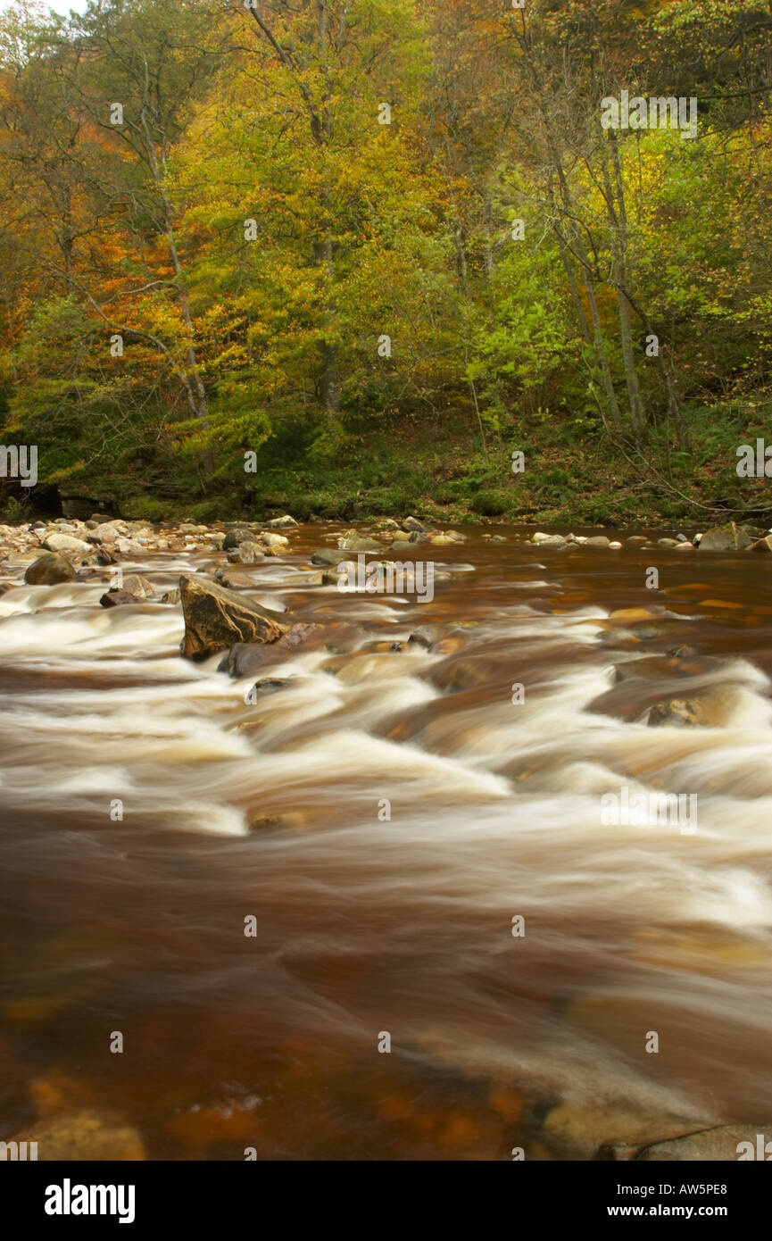 ENGLAND Northumberland Allen Banks The River Allen running through the ...