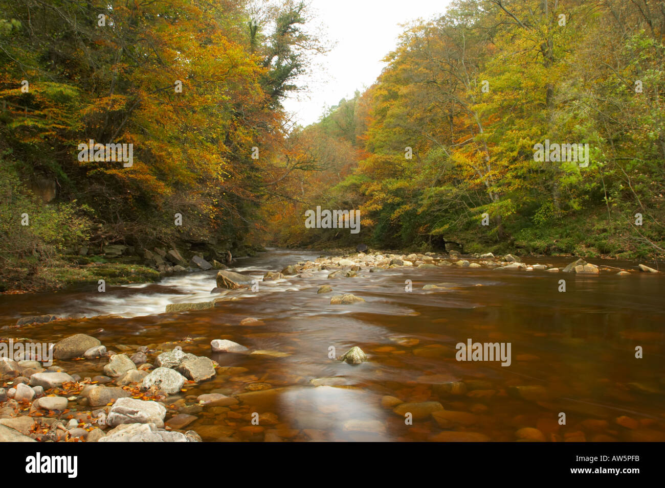 Allen banks hi-res stock photography and images - Alamy
