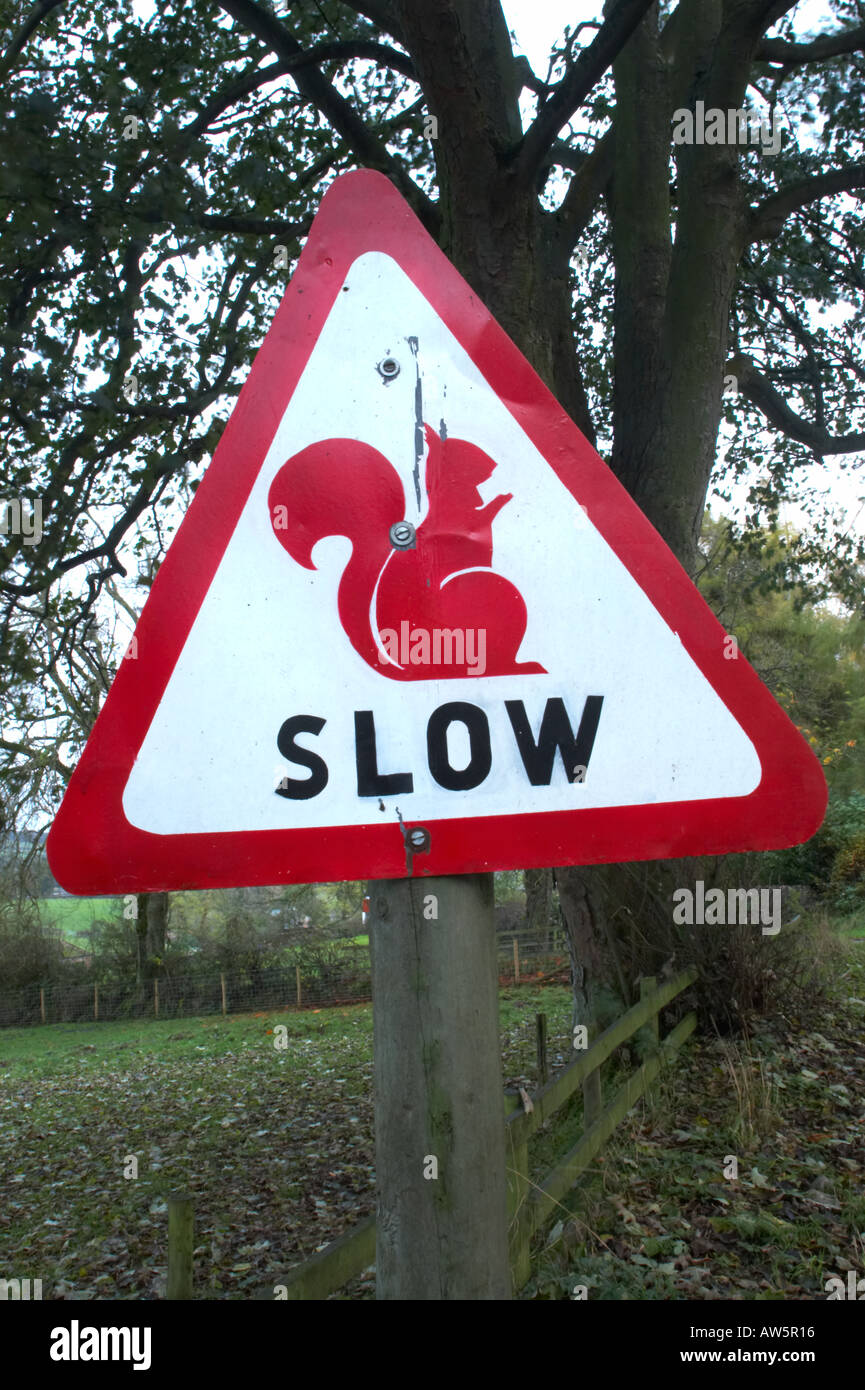 England, Cumbria, Red Squirrel Sign. Slow down for red squirrel sign ...