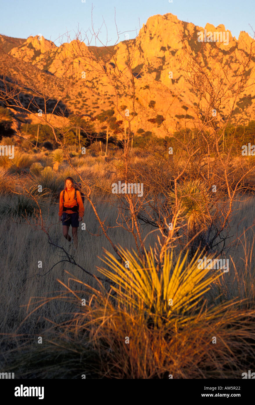 Walking in Cochise Stronghold Arizona USA Stock Photo - Alamy