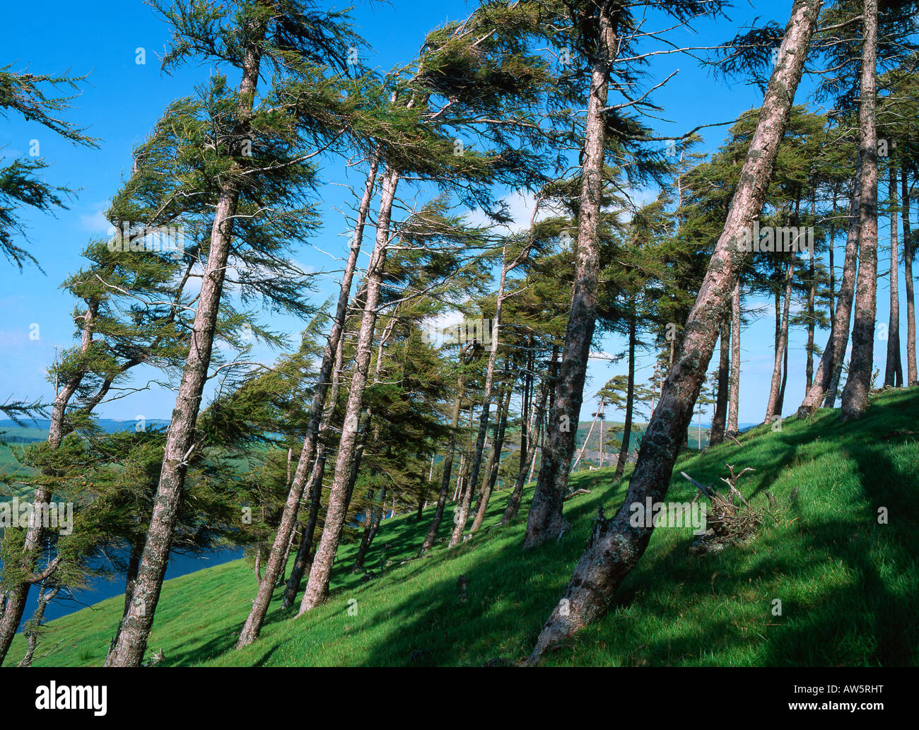 Hillside wales hi-res stock photography and images - Alamy