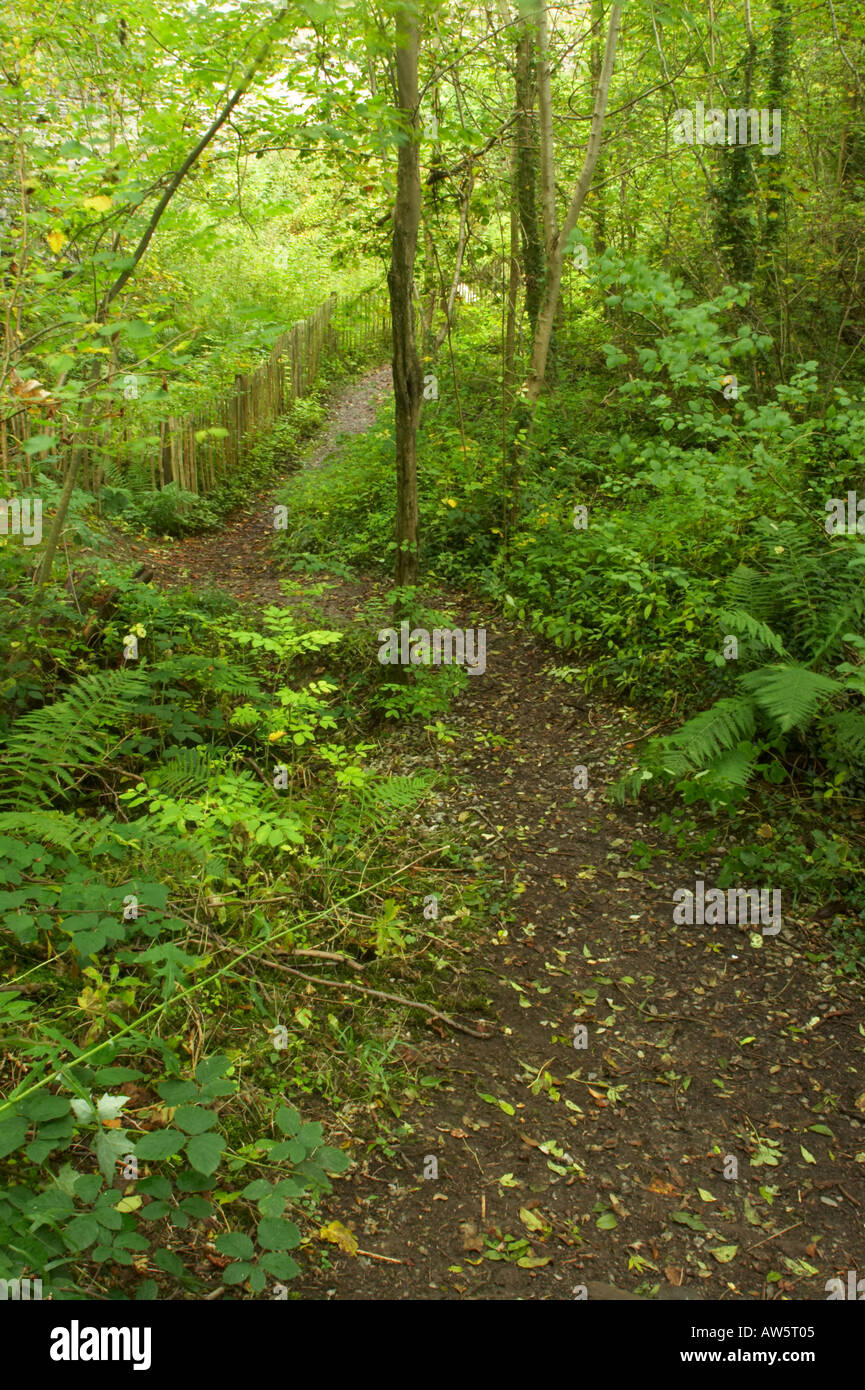 Edge kiln hi-res stock photography and images - Alamy