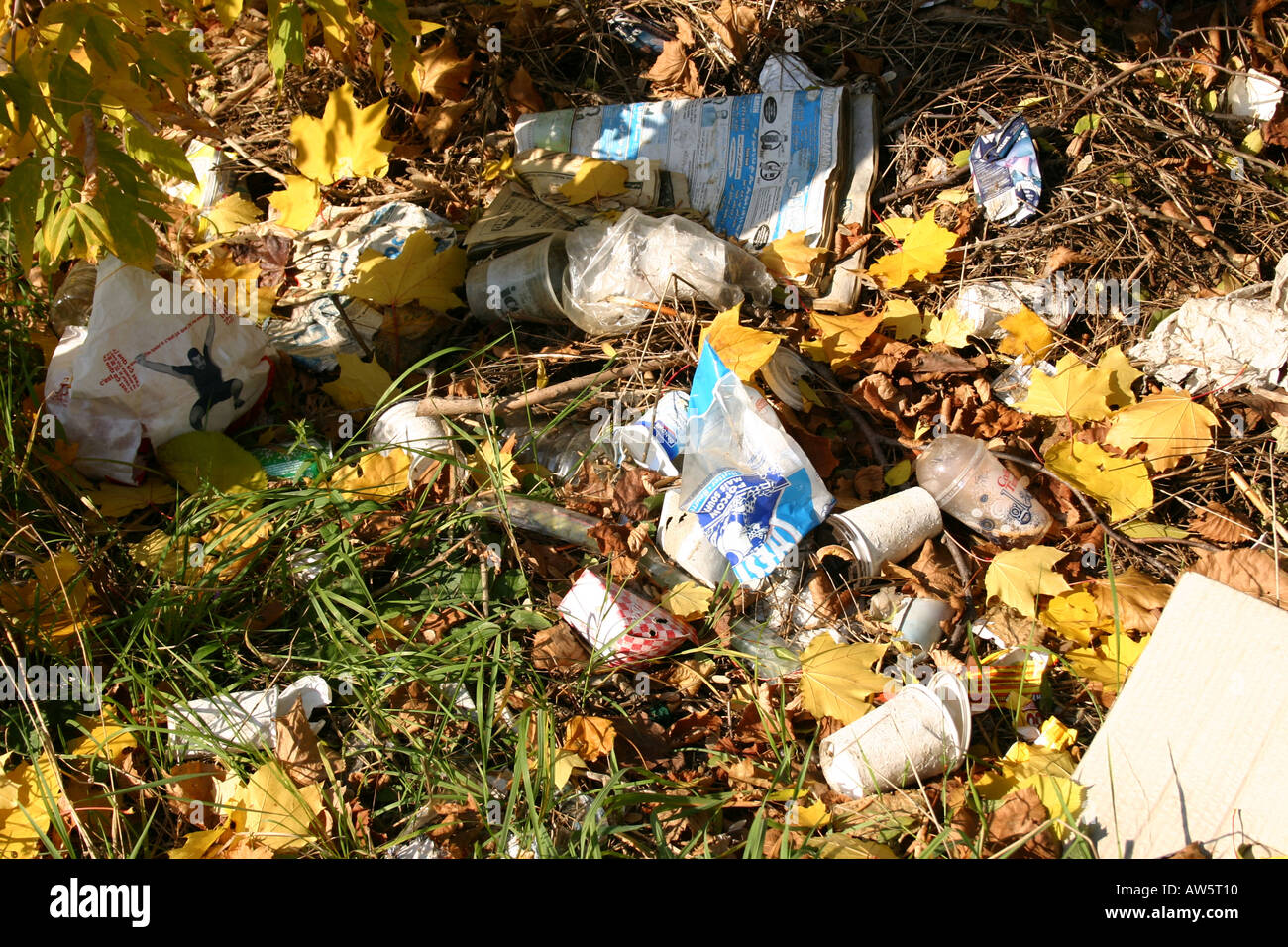 Savage Garbage in downtown Toronto Canada Stock Photo - Alamy