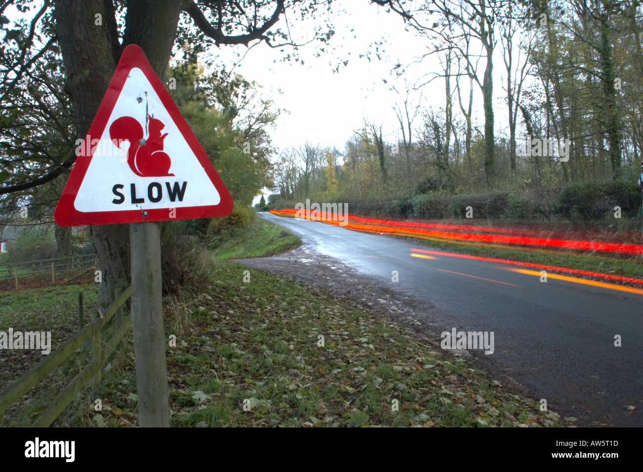 England, Cumbria, Red Squirrel Sign. Slow down for red squirrel sign ...