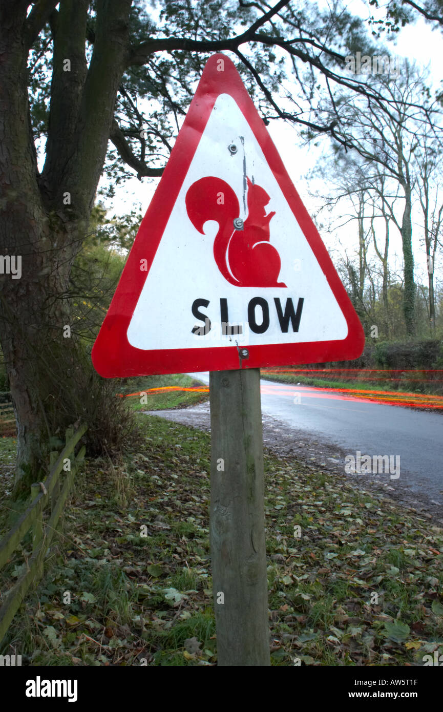 England, Cumbria, Red Squirrel Sign. Slow down for red squirrel sign ...