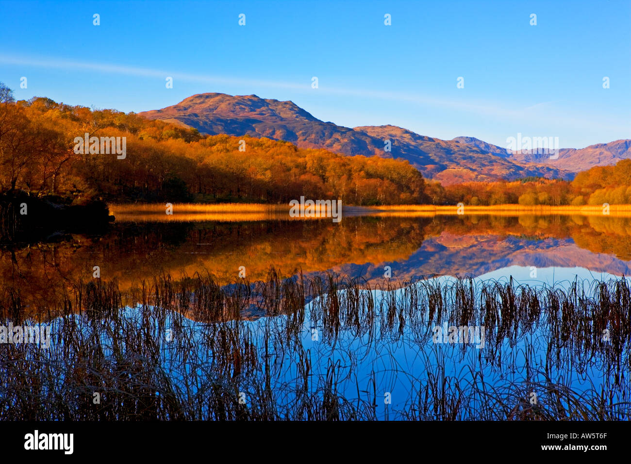 LOCHEN AT LOCH LOMOND IN AUTUMN Stock Photo - Alamy