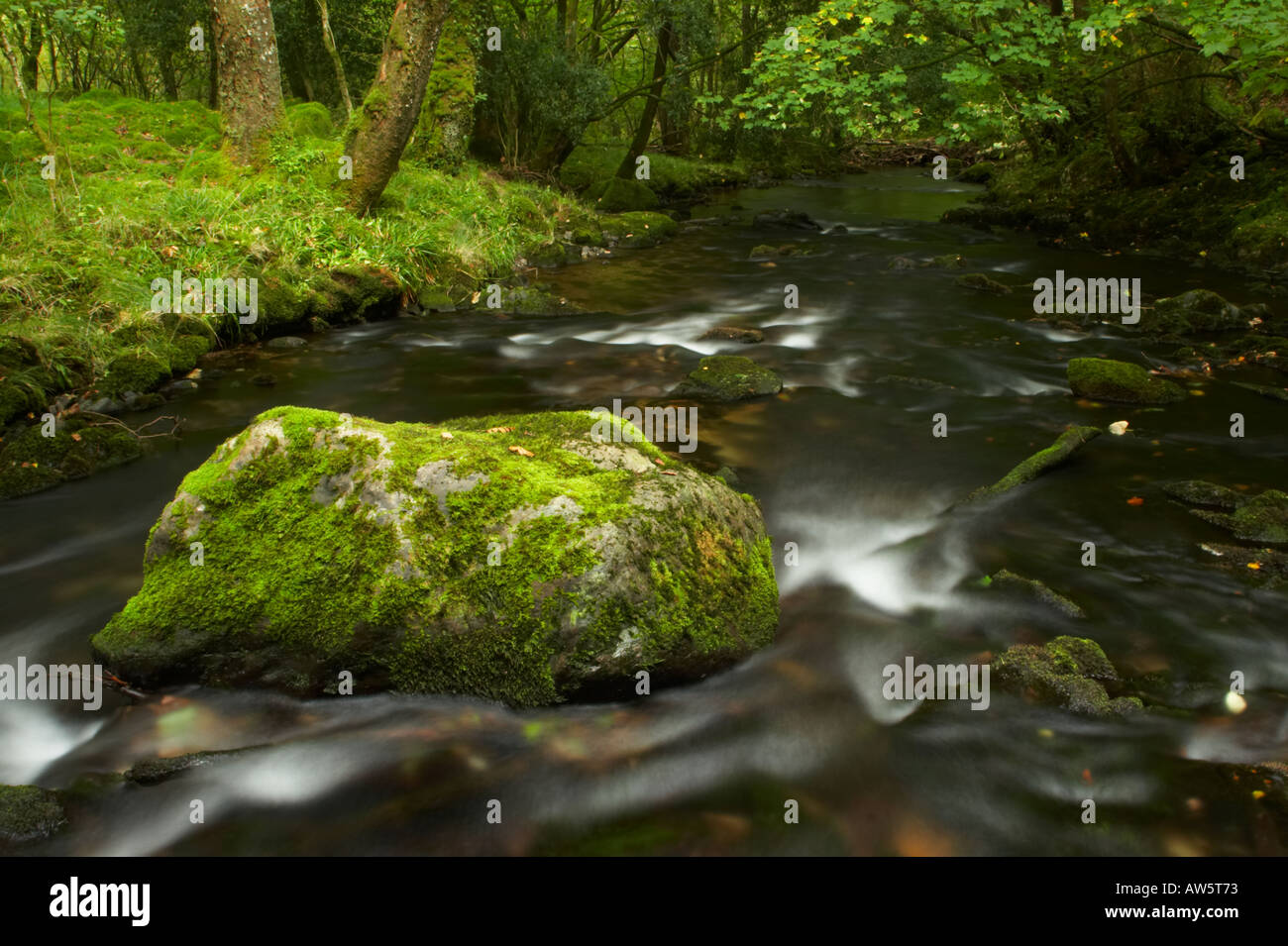 England, Cumbria, Lake District National Park. The River Brathy flowing ...
